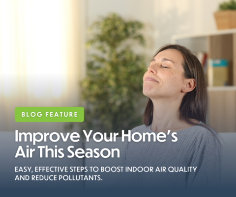 Why Your Indoor Air Quality Matters — And What You Can Do to Improve It ...
